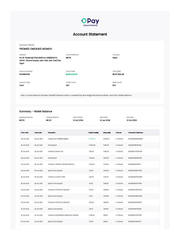 Account Statement Summary 2024 | PDF | Debits And Credits | Money