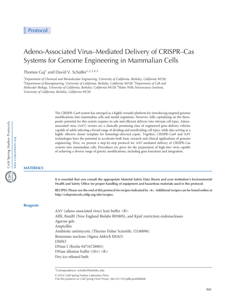 AAV Mediated Delivery of CRISPR-Cas System Protocol | PDF | Viral ...