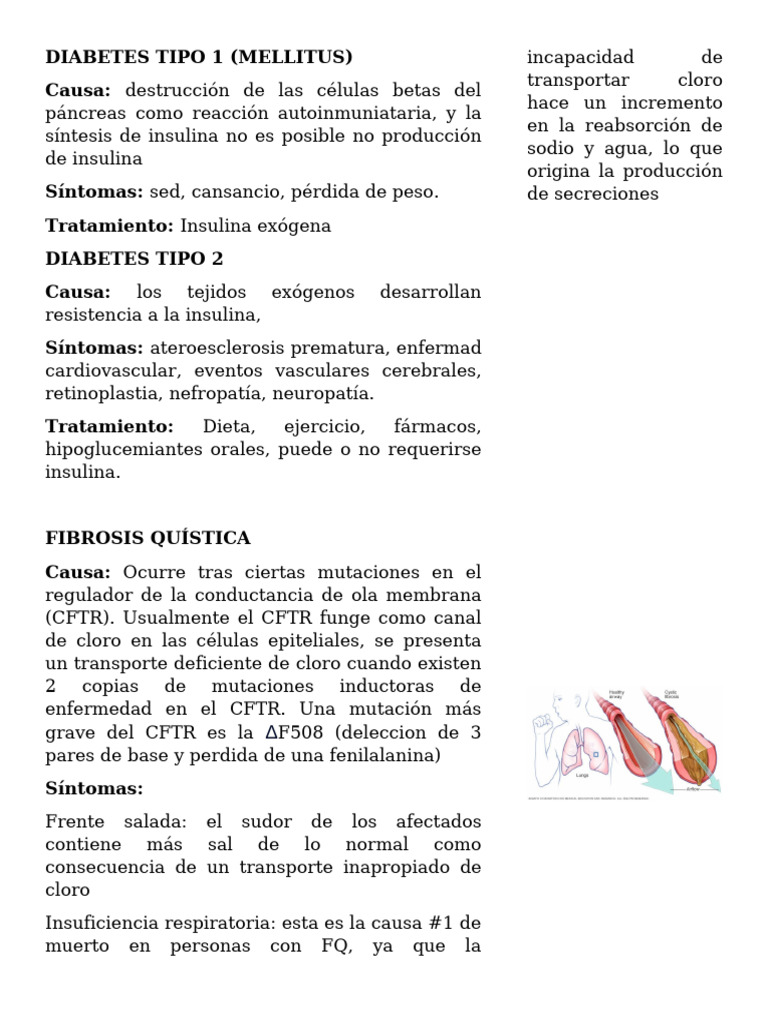 Diabetes Tipo 1 | PDF | Medicina CLINICA | Bioquímica