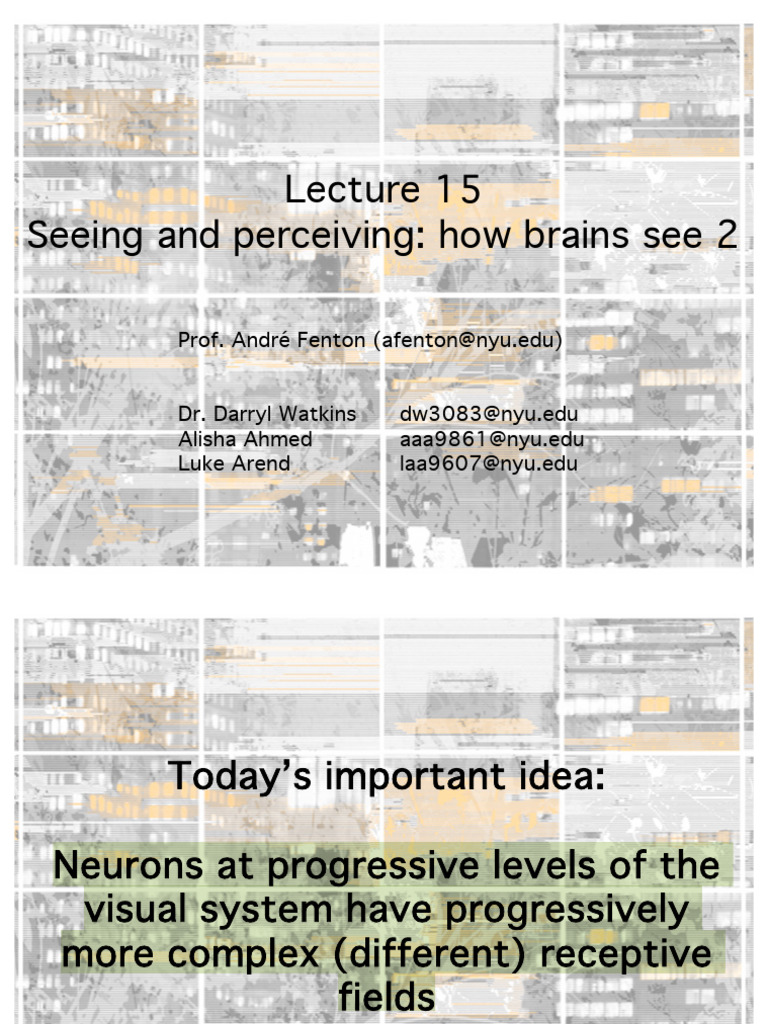 Brain and Behavior-Vision2 | PDF | Visual Cortex | Visual System