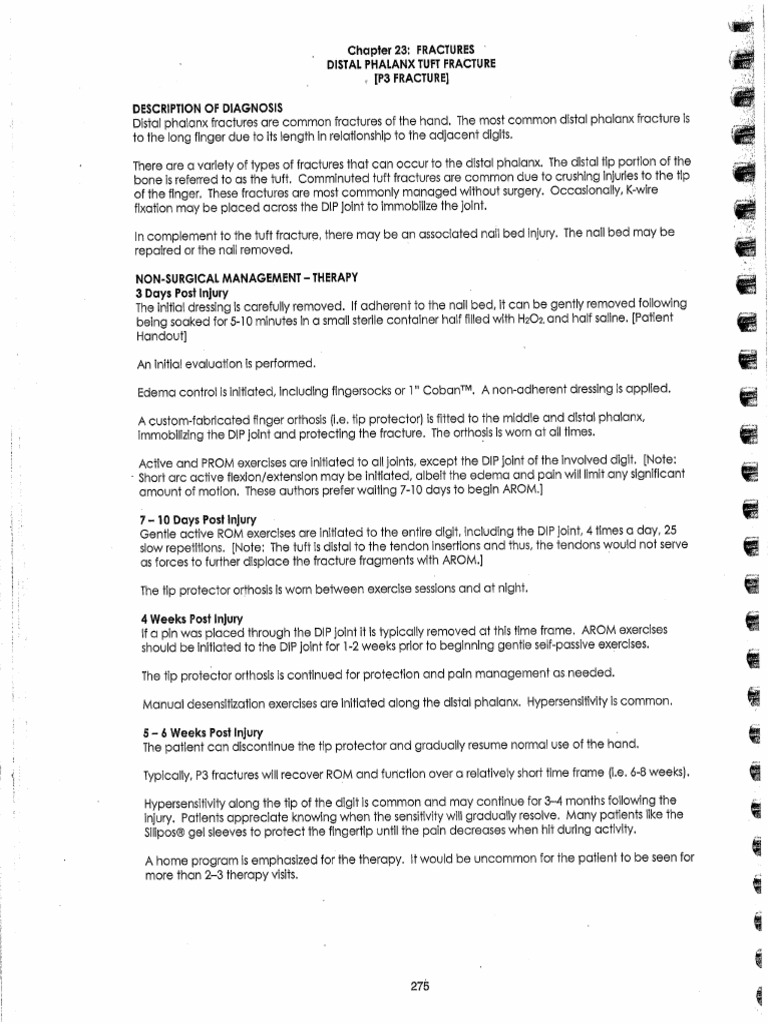 Distal Phalanx Tuft Fracture | PDF