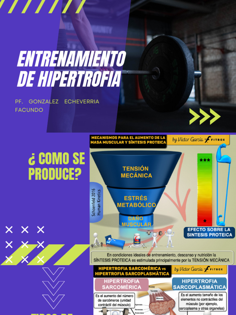 Guía de Entrenamiento para Hipertrofia | PDF | Salud y bienestar