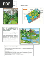 Cuencas Hidrograficas y Cuenca Exorreica | PDF | Cuenca de drenaje | Río