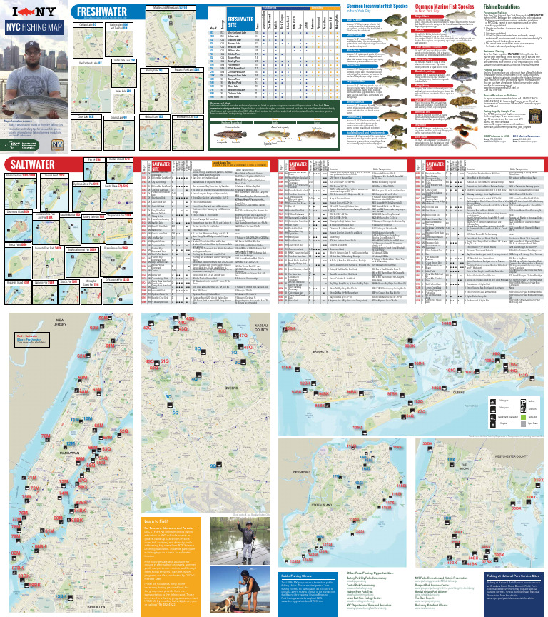 NYC Freshwater Fishing Guide | PDF | Fish | Fish And Humans