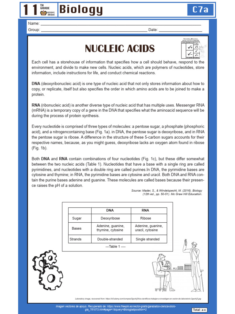 Understanding Nucleic Acids in Biology | PDF | Nucleic Acids | Nucleotides