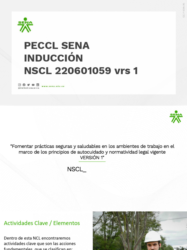 Peccl Sena Inducción NSCL 220601059 Vrs 1 | PDF | Business