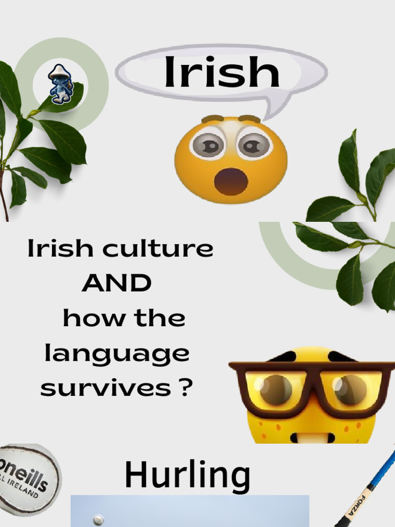 Irish | PDF | Social Science
