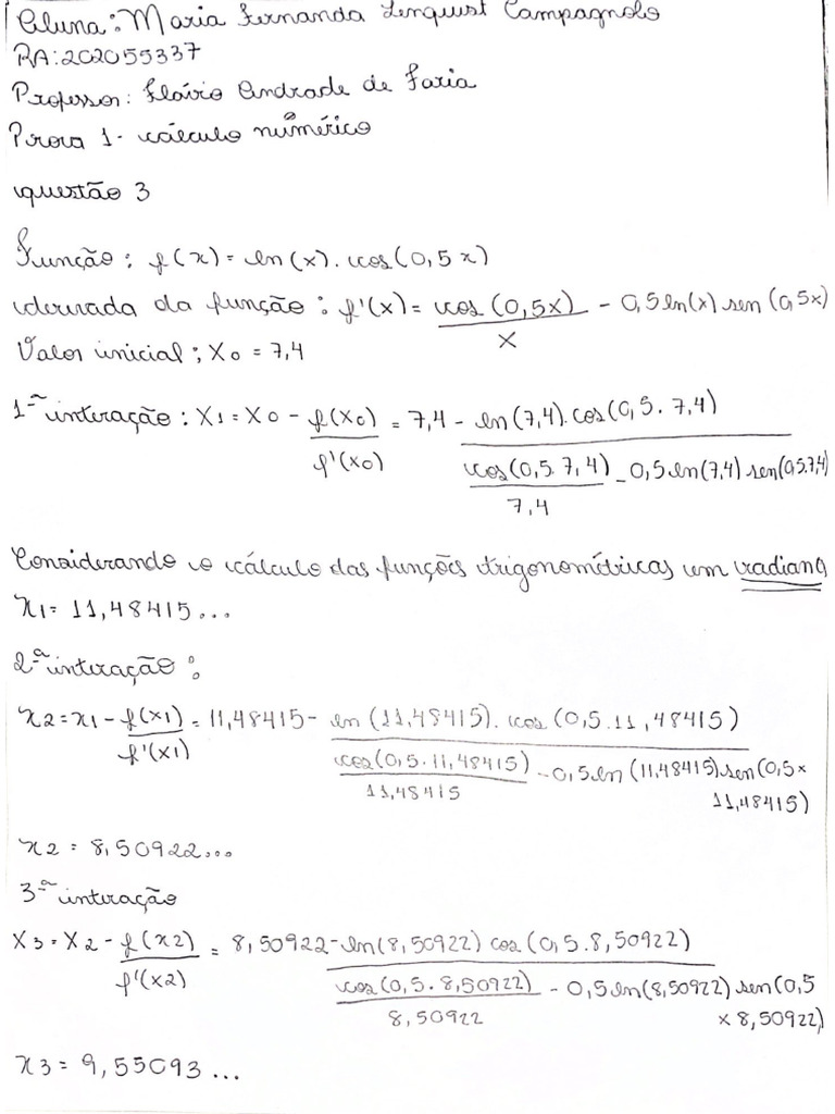 MariaFernandaLC Ex3 | PDF