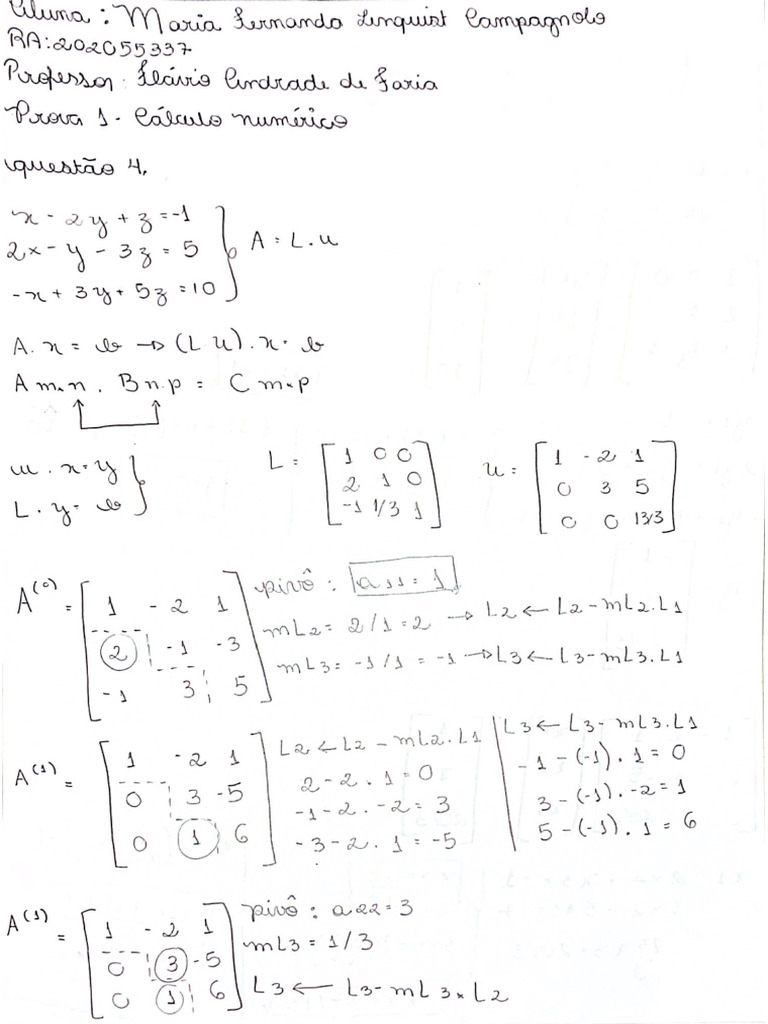 MariaFernandaLC Ex4 | PDF