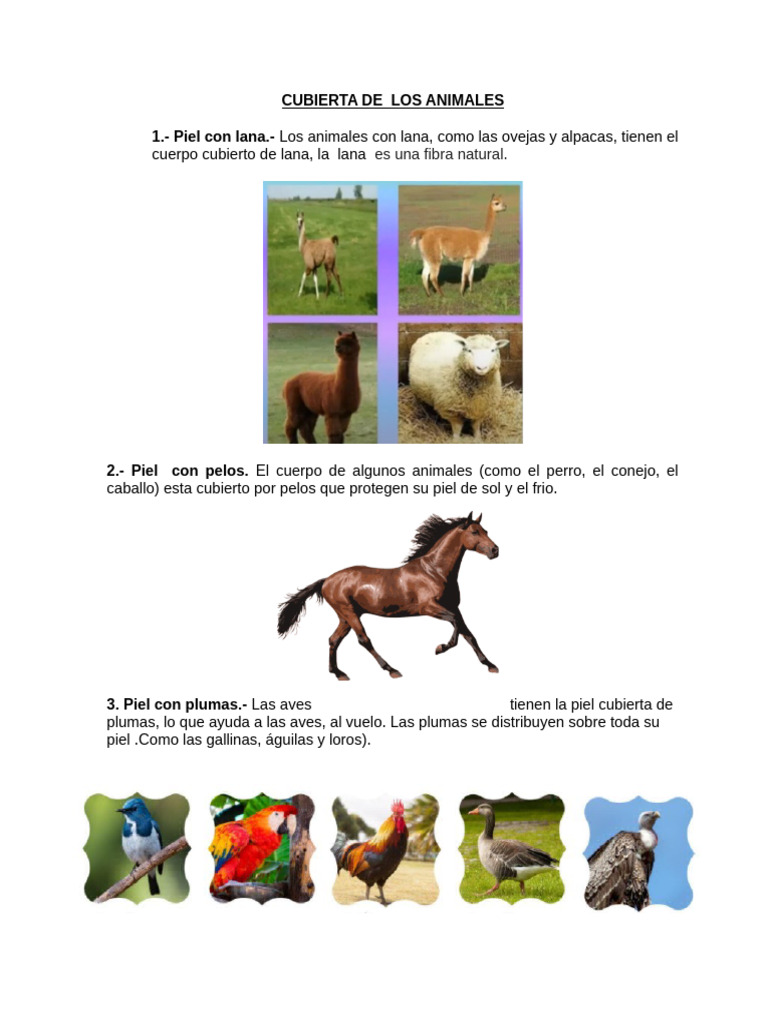 Cubierta de Animales | PDF | Ciencia y matemáticas | Historia