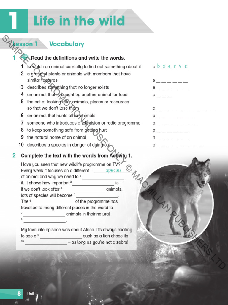 Academy Stars 6 Workbook | PDF | Linguistics