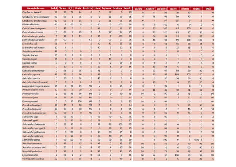Tabela Enterobacterias | PDF