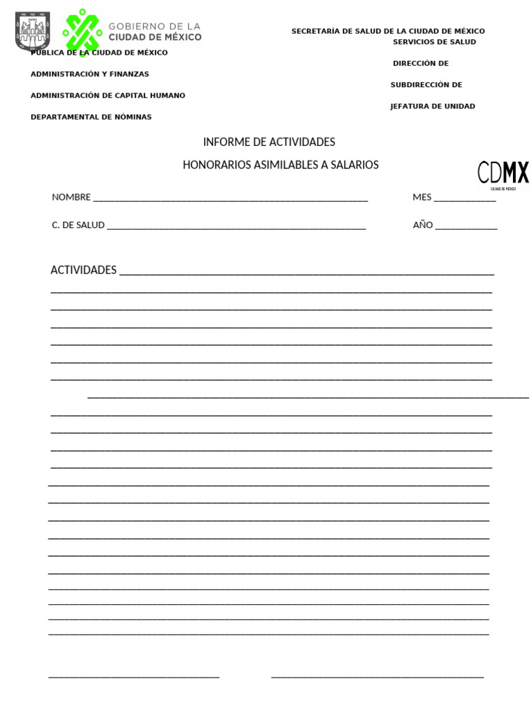 Formato Inf. Act. 2020 | PDF