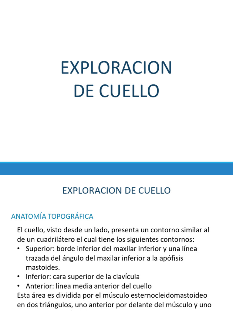 Anatomía y Semiología del Cuello | PDF | Anatomía humana | Cabeza y ...