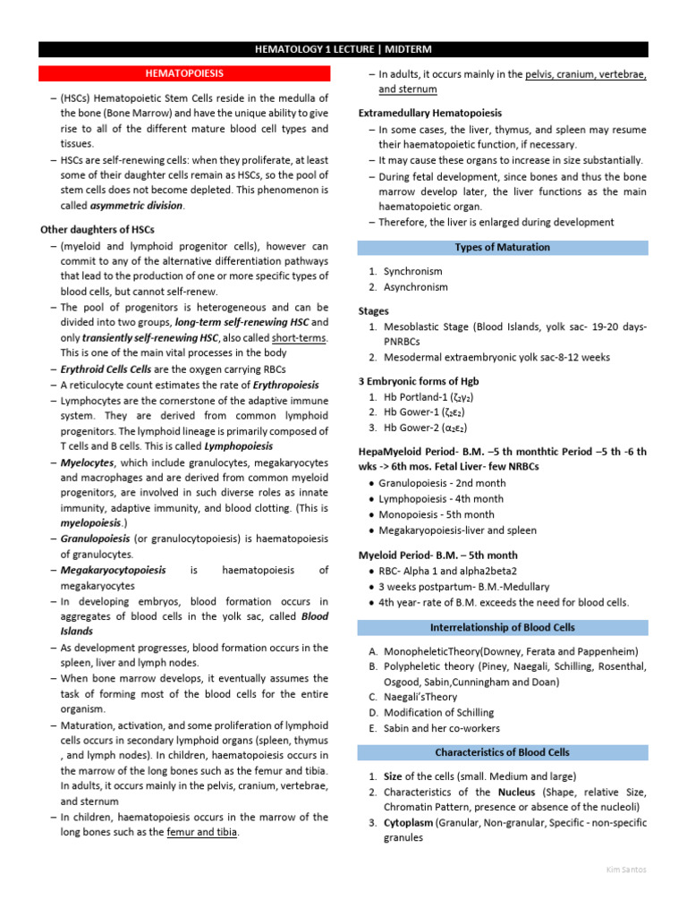 HEMA 1 Lec Midterms | PDF | Haematopoiesis | Hematopoietic Stem Cell