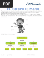 Vocabulario Del Cuerpo | PDF