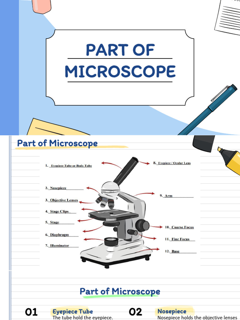Microscope | PDF