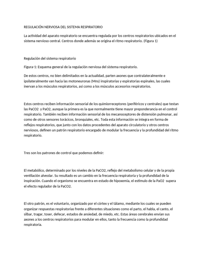 REGULACIÓN NERV-WPS Office | PDF | Sistema respiratorio | Neurona