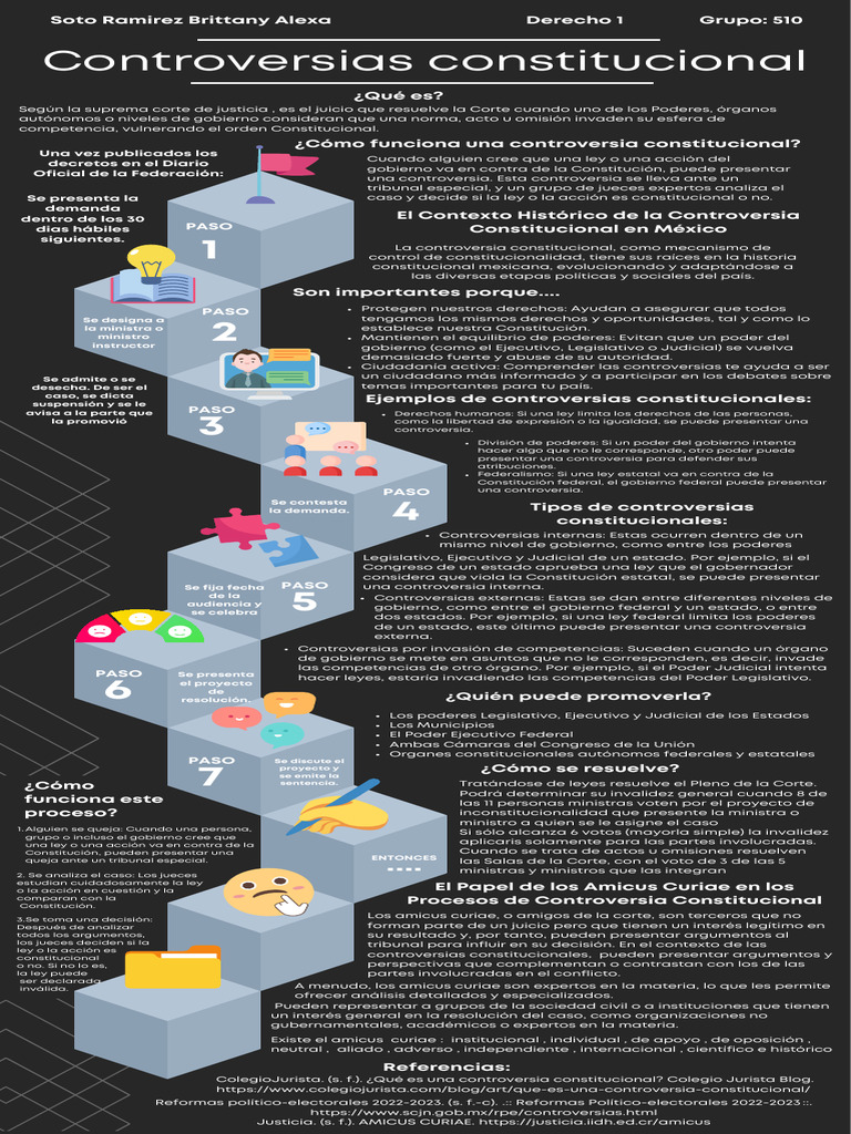 Infografia Tema 16 | PDF | Judicaturas | Ejecutivo (gobierno)