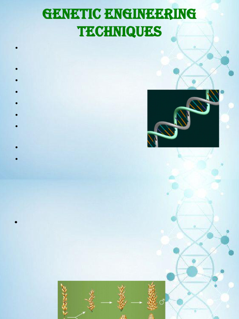 LESSON 5 Genetic Engineering Techniques - Benefits of GMO | PDF ...