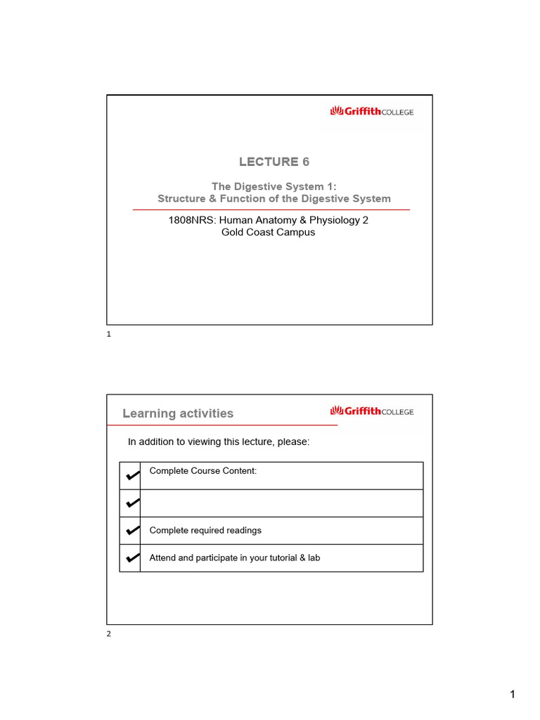 Lecture 6 - DS 1 - Structure and Function of The Digestive System ...