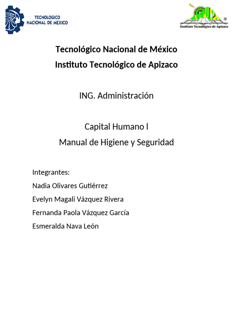 Manual de Higiene y Seguridad | PDF | Valores | Business