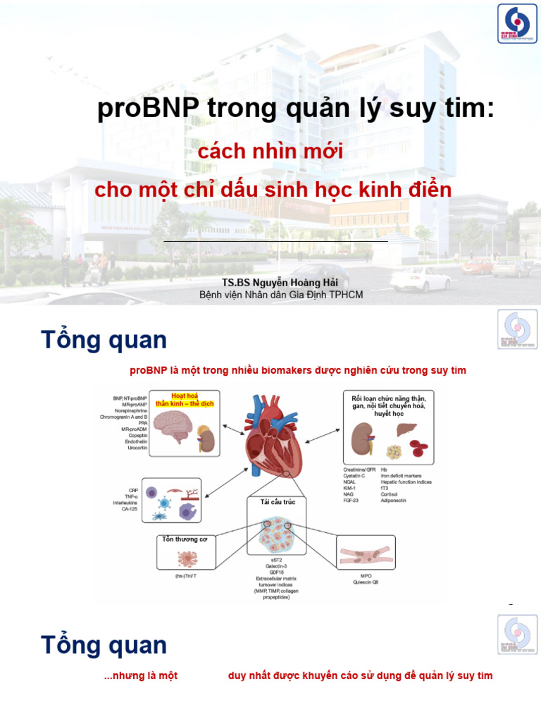 Bai 2. NTproBNP in Heart Failure, Nguyen H.Hai | PDF