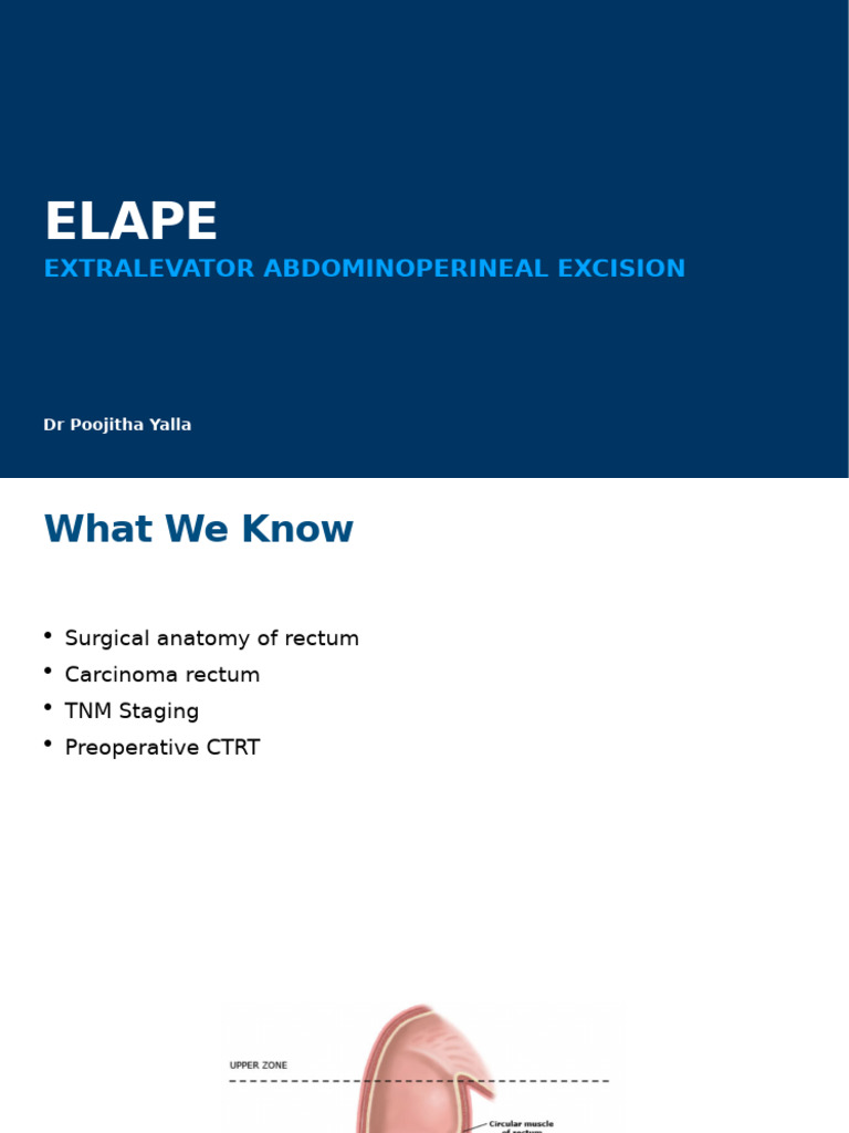 ELAPE | PDF | Pelvis | Medical Specialties