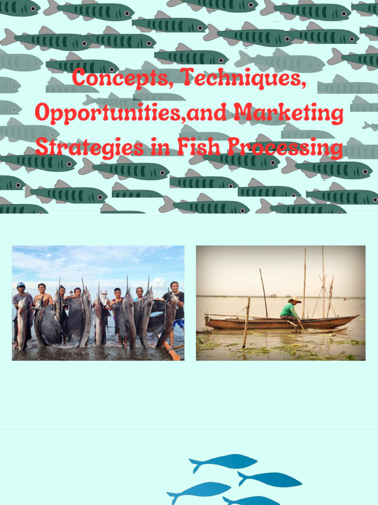 Concepts Techniques Opportunitiesand Marketing Strategies in Fish Processing | PDF