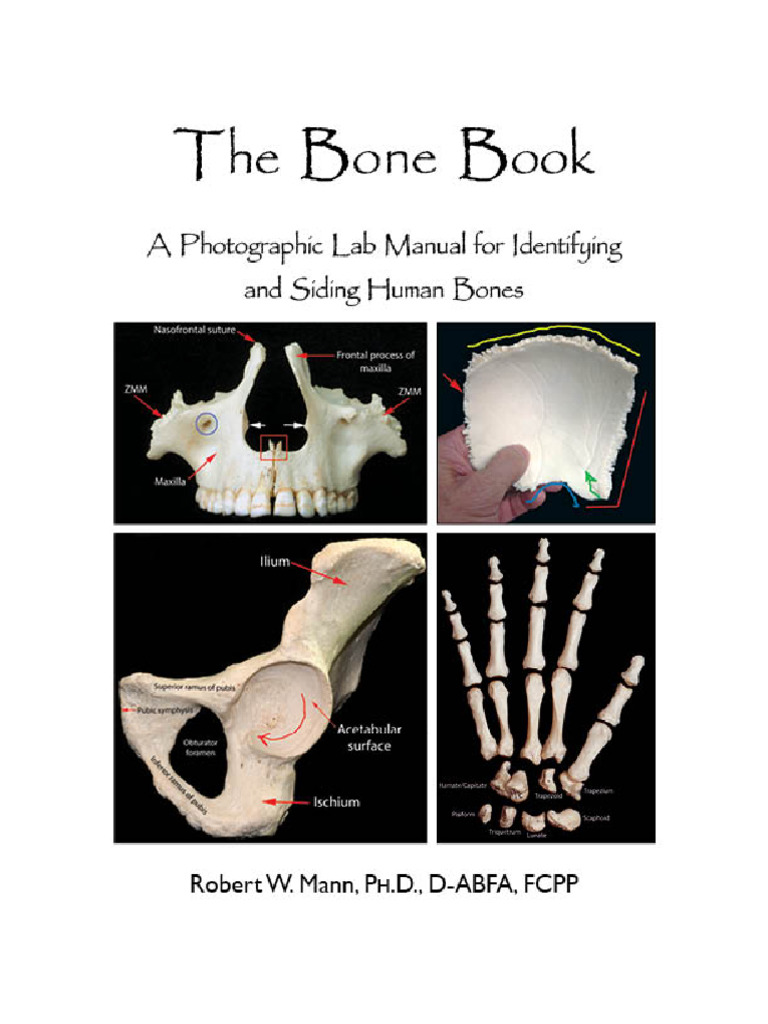 The Bone Book, by Robert W. Mann | PDF | Skeletal System | Human Head ...