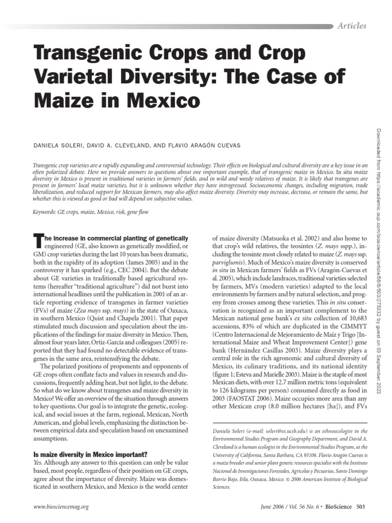 Transgenic Crops and Crop Varietal Diverity. The Case of Maize in Mexico | PDF | Maize ...