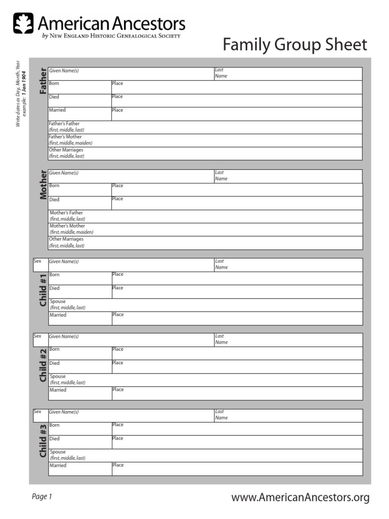 Family Group Sheet | PDF | Social Institutions | Family