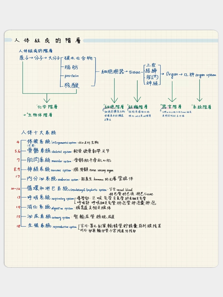 大學生命科學與醫學的解剖生理學-Ch1 緒論 筆記 - Clearnote | PDF