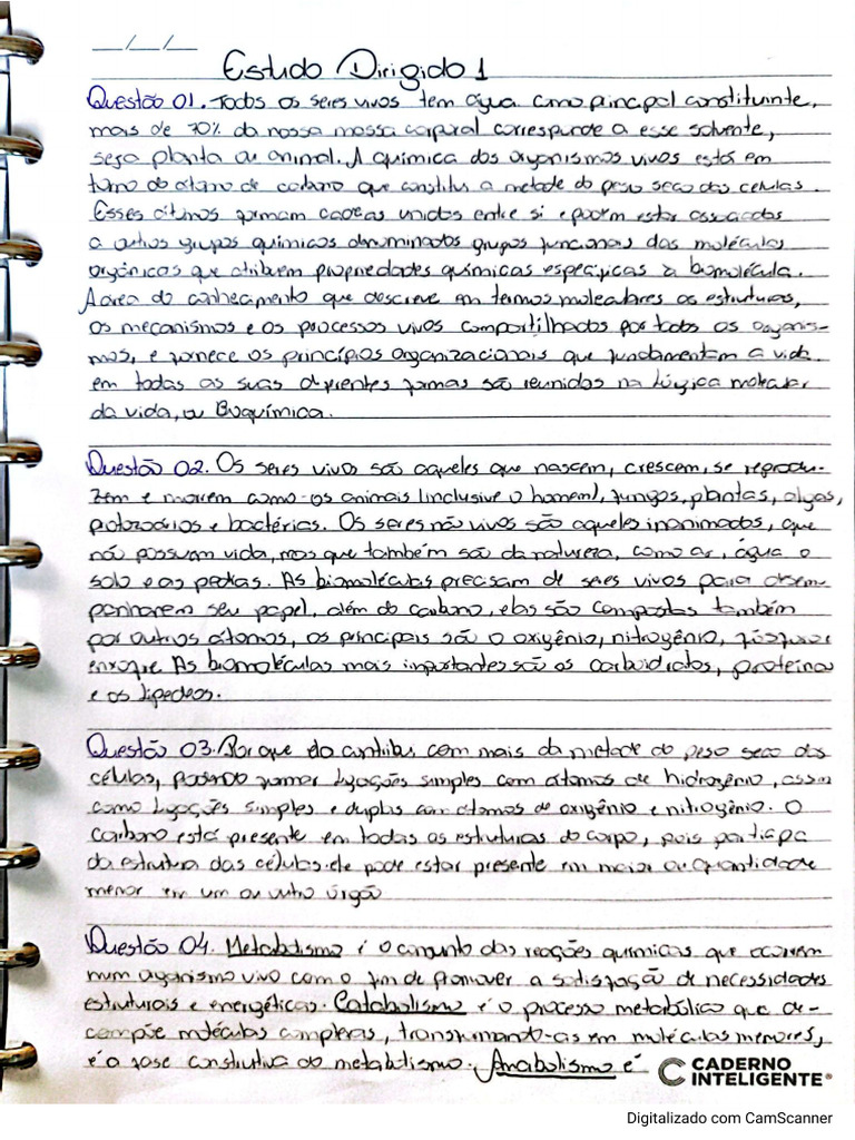Estudo Dirigido 1 | PDF
