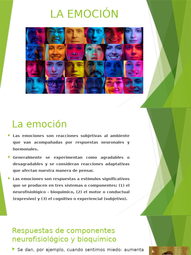 La Emoción | PDF | Las emociones | Temor