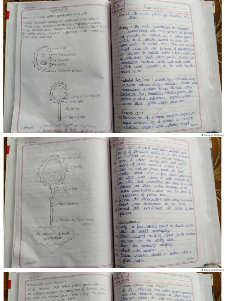 BIOLOGY PRACTICAL FILE (Class 12th) | PDF