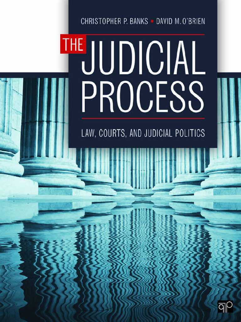 The Judicial Process Law Courts and Judicial Politics - Compress | PDF ...