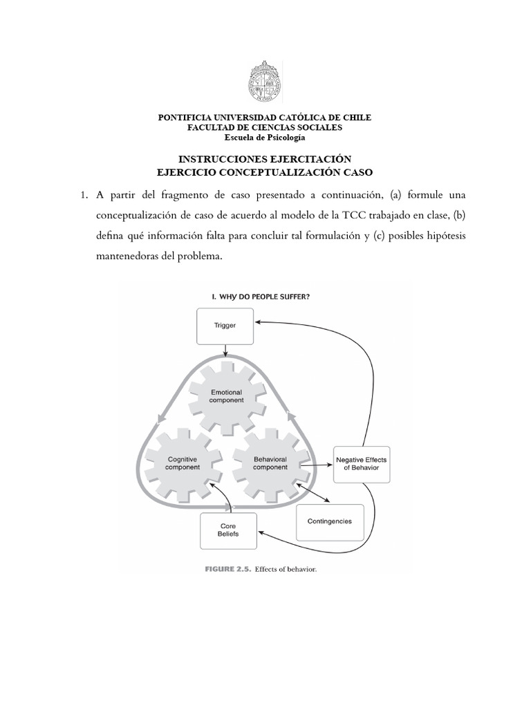 Conceptualizacion Caso Tolin | PDF | Relaciones personales, crianza y ...
