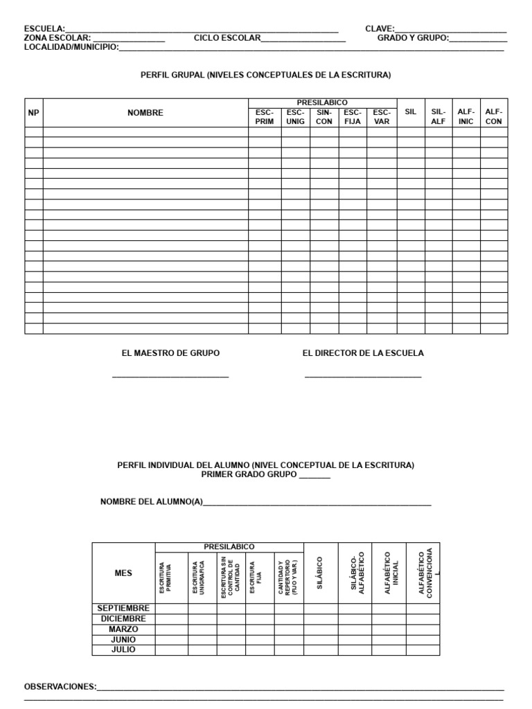 Perfil Grupal e Individual | PDF | Escritura | Lingüística