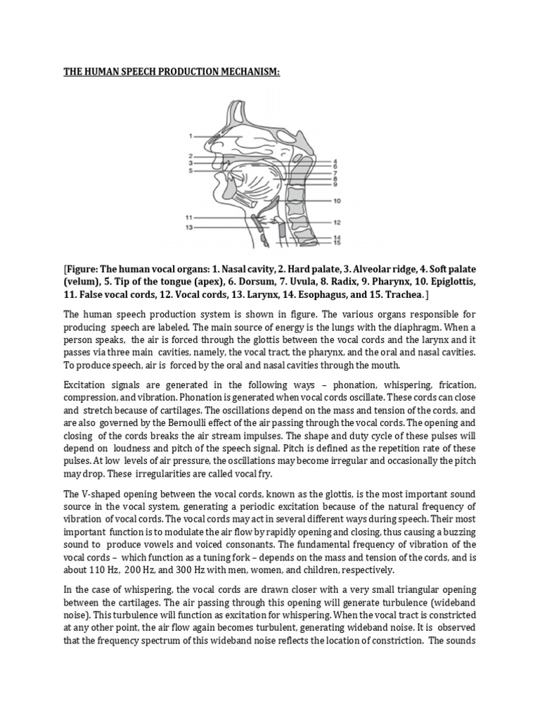 Unit 1 | PDF | Phonetics | Vowel