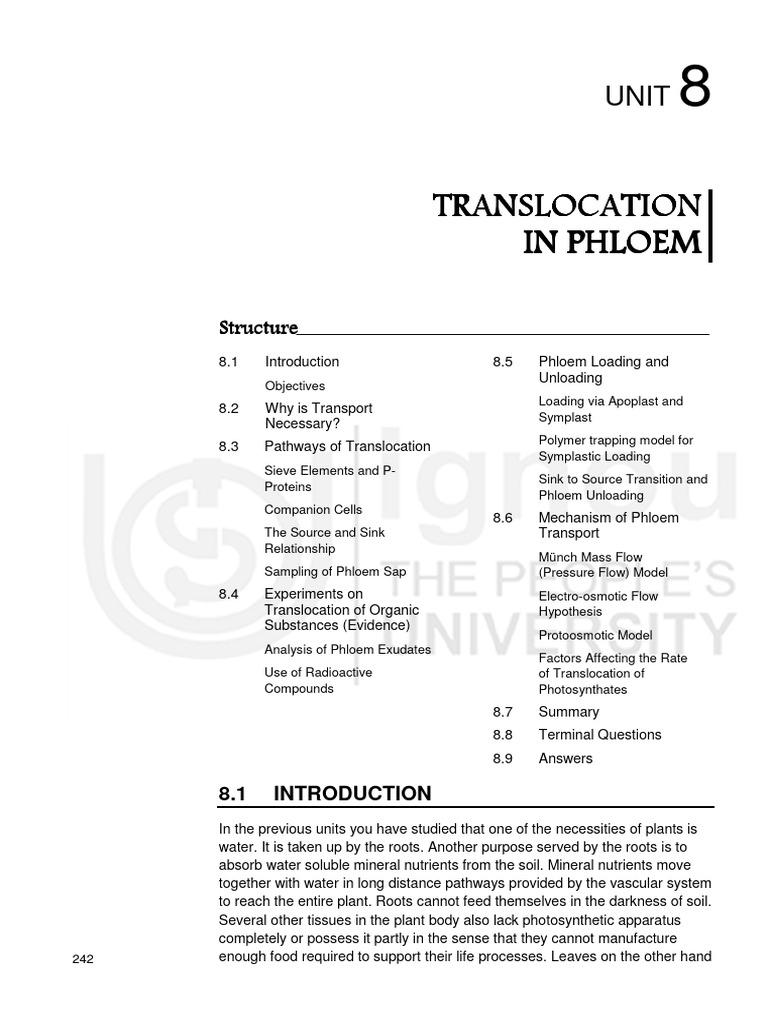 Phloem Translocation Pathways Explained | PDF | Leaf | Botany