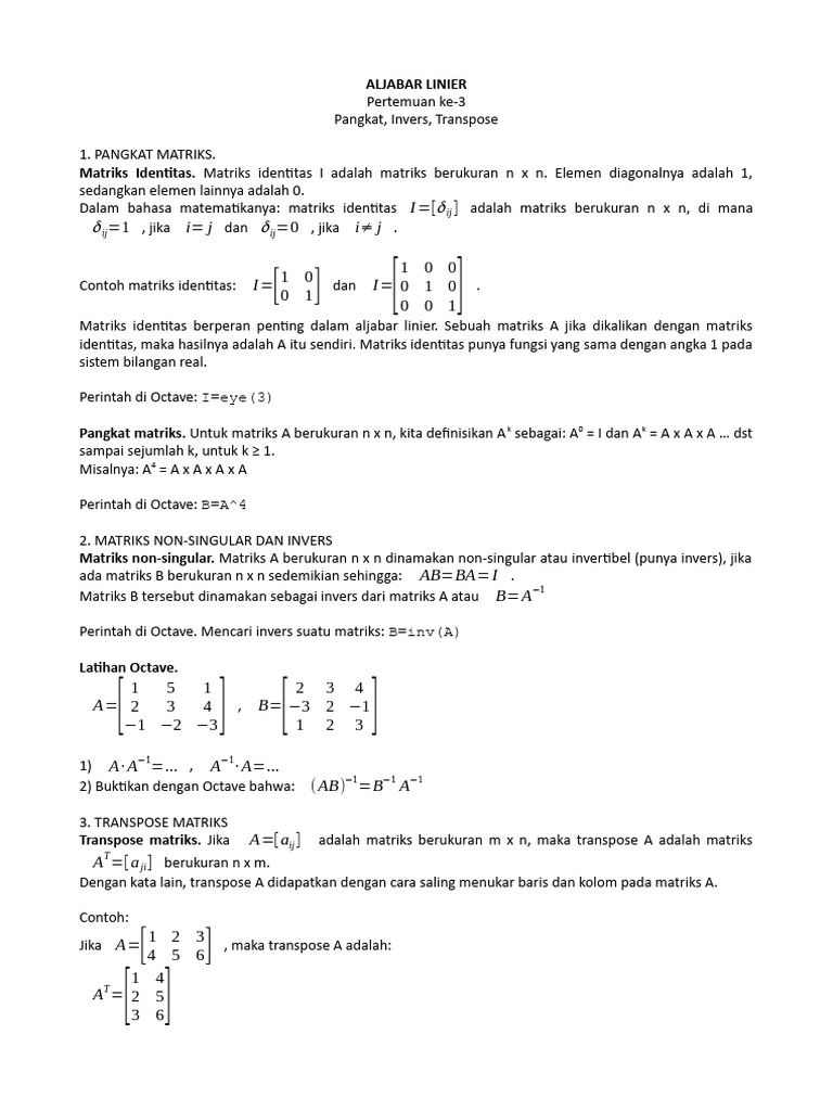 Matriks: Pangkat, Invers, Transpose | PDF