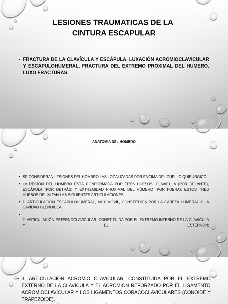 Lesiones Traumatológicas del Hombro | PDF | Hombro | Sistema ...