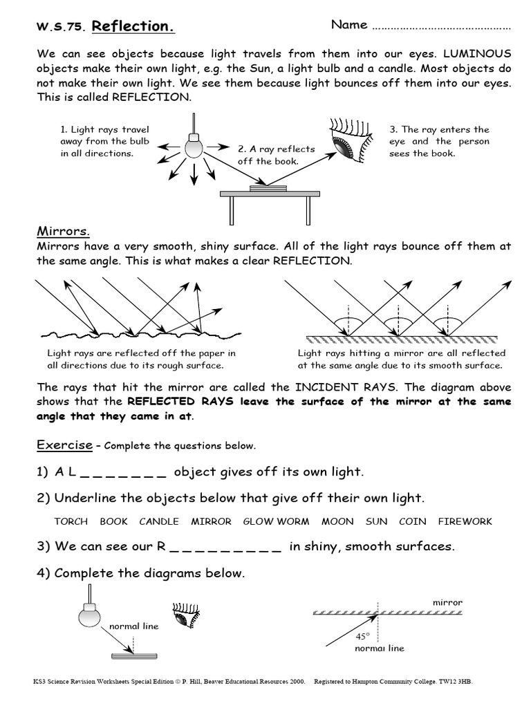 Y8 - Light and Sound | PDF | Ear | Sound