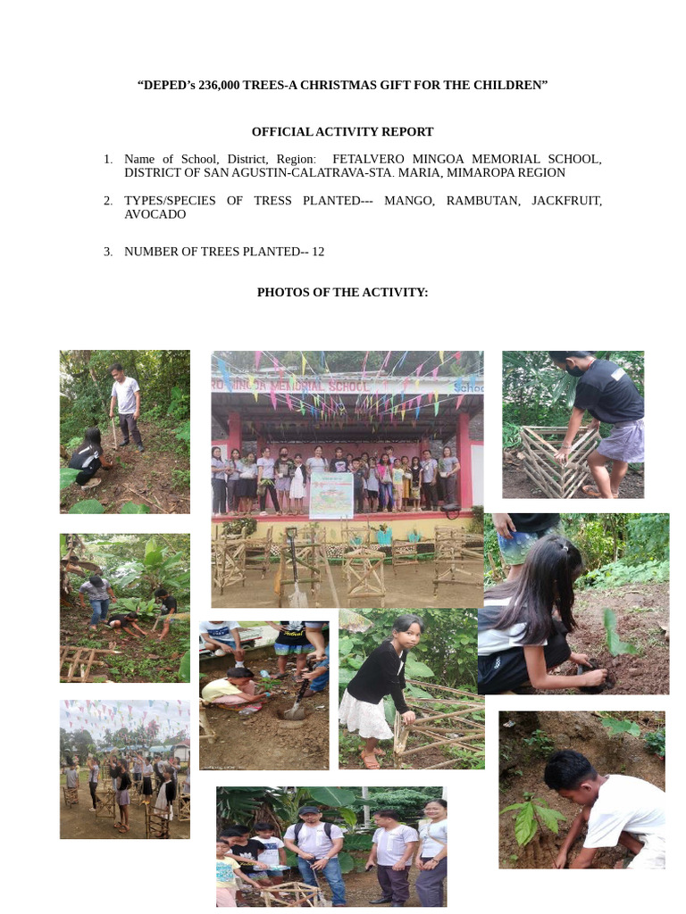 DEPED's 12 Trees for Christmas Gift | PDF | Home & Garden | Science ...