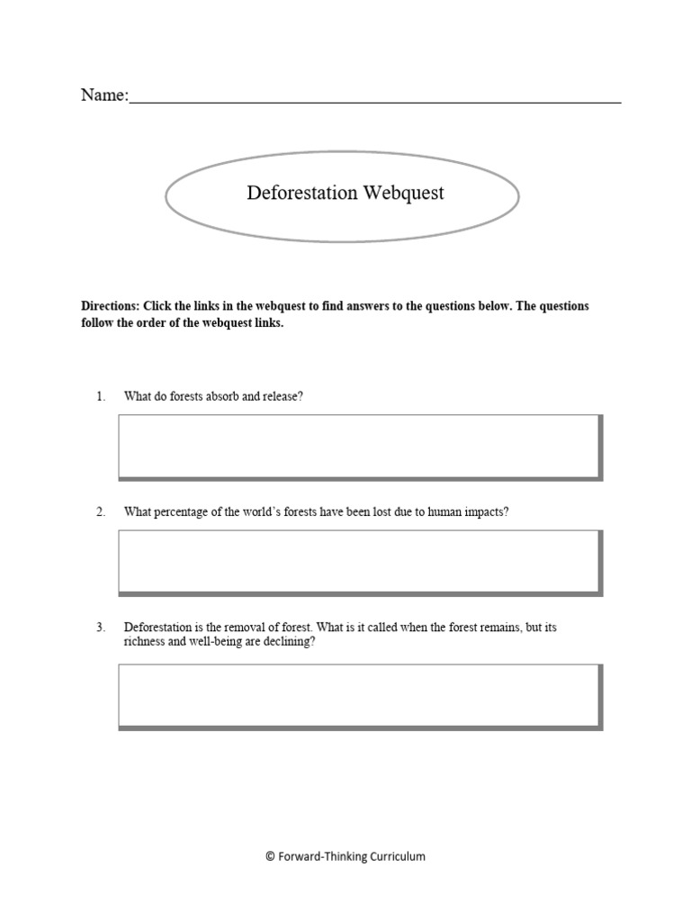 Tanzeem Rahman M - Deforestation Worksheet | PDF | Deforestation | Forests