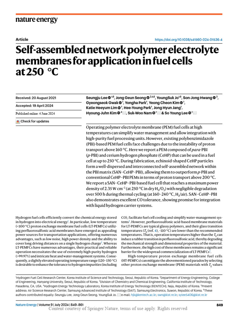 Self-Assembled Network Polymer Electrolyte Membranes For Application in ...