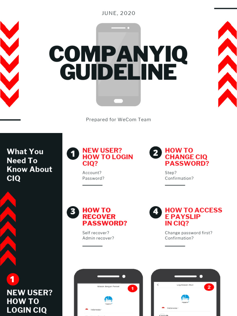 Ciq Guideline | PDF | Career & Growth | Business