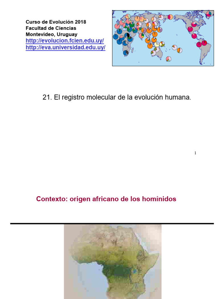 Orígenes humanos: teorías y evidencias | PDF | Homo | neanderthal