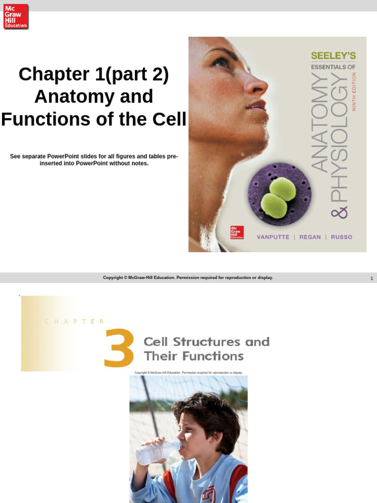 Week 1 Part 2 Anatomy and Functions of The Cell 1 | PDF | Mitosis ...